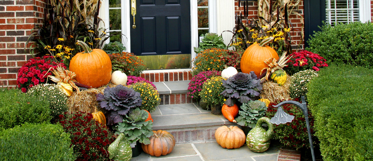 Fall & Thanksgiving | Pesches Flowers & Garden Center