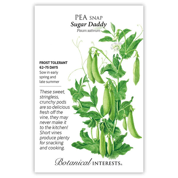 Pea Snap 'Sugar Daddy' | Pesches Flowers & Garden Center