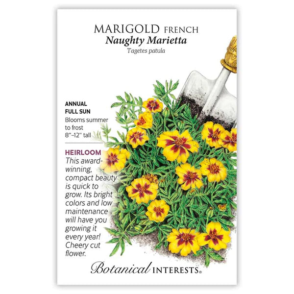 Marigold French 'Naughty Marietta' | Pesches Flowers & Garden Center