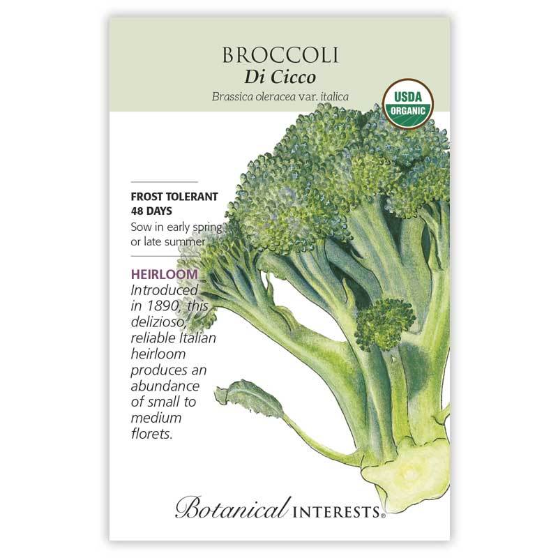 Broccoli 'Di Cicco' | Pesches Flowers & Garden Center