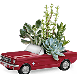 Dream Wheels '65 Ford Mustang By Teleflora | Pesches Flowers & Garden ...