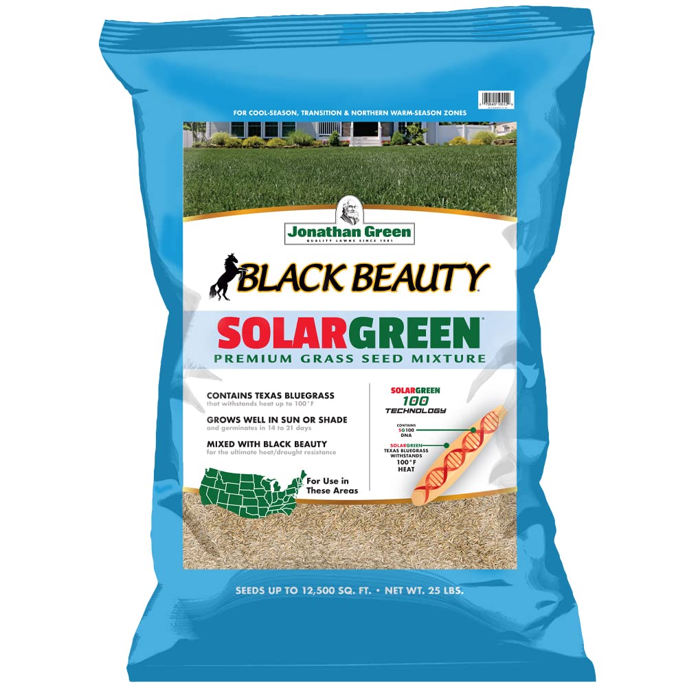 Black Beauty SolarGreen Texas Bluegrass Grass Seed | Pesches Flowers ...